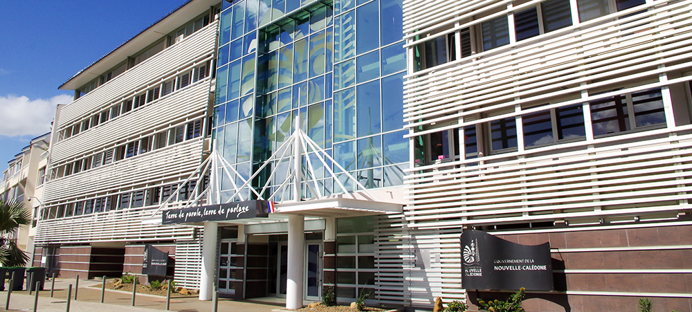 Élection des membres du 15e gouvernement | Gouvernement de la Nouvelle ...