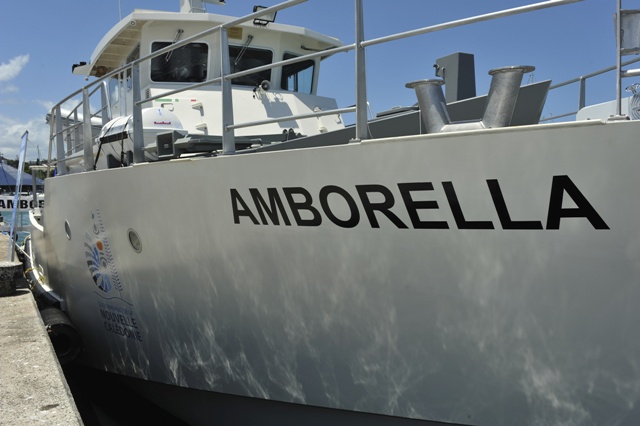 L'Amborella certifié "cleanship" | Gouvernement de la Nouvelle-Calédonie